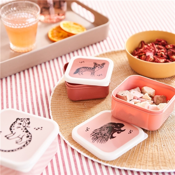 Madkasser til Snacks Dyr x 3 - Madkasser & Madopbevaring - Petit Monkey ...